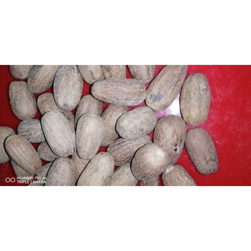 Jual biji pala lonjong kering 1 kg | Shopee Indonesia