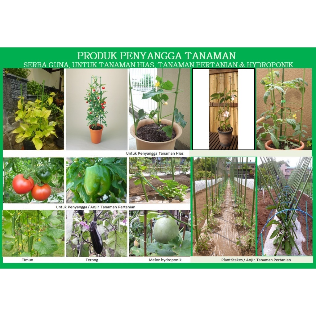 Jual Penyangga tanaman - rambatan Bunga dan Sayuran tinggi 90cm ...