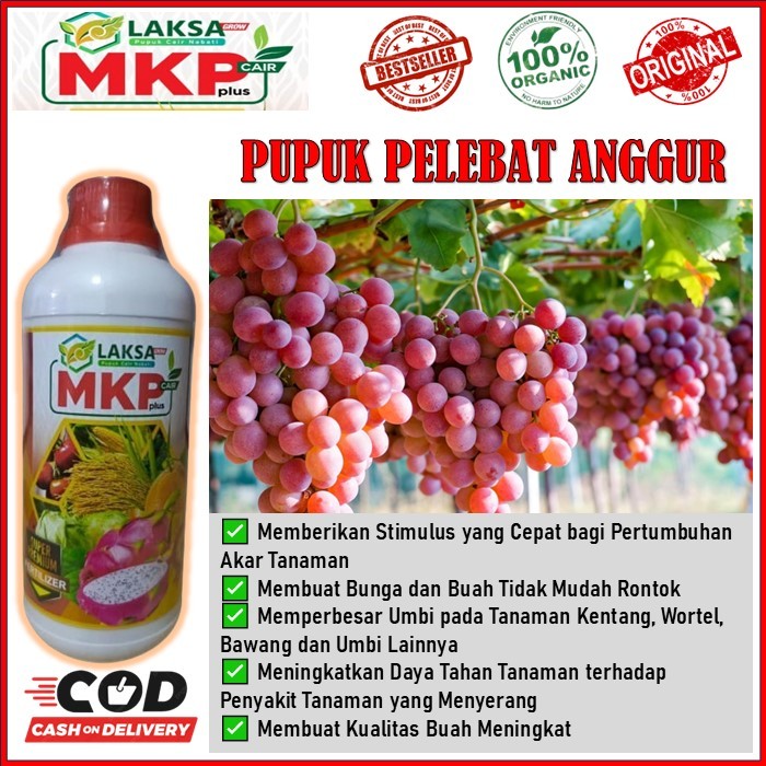 Jual MKP Cair Plus LAKSA GROW pupuk organik pelebat anggur, apel, mangga, jeruk, buah naga ...