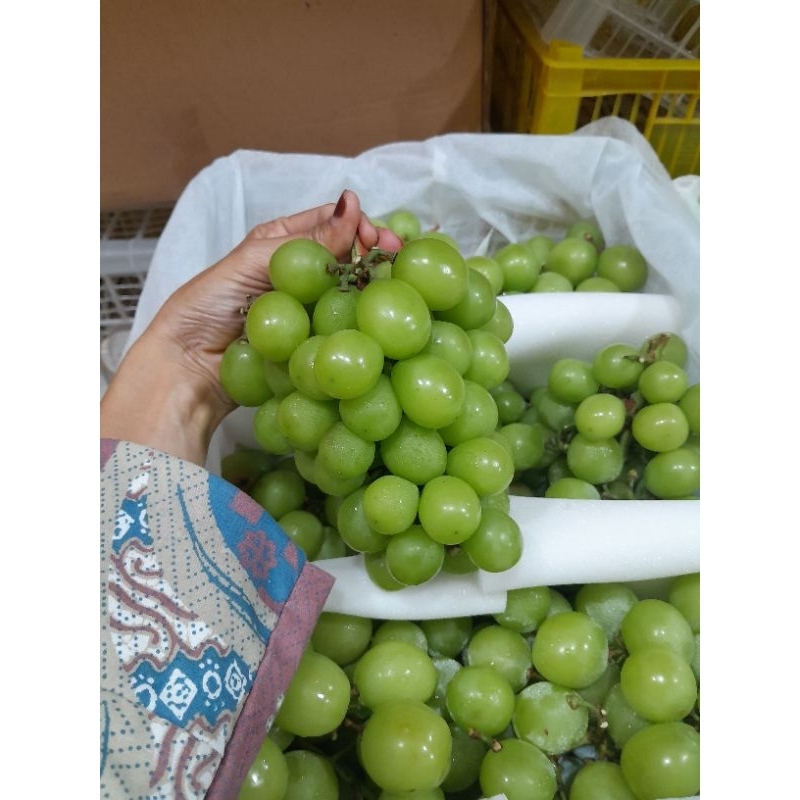 Jual Anggur shaine Muscat 500gram | Shopee Indonesia