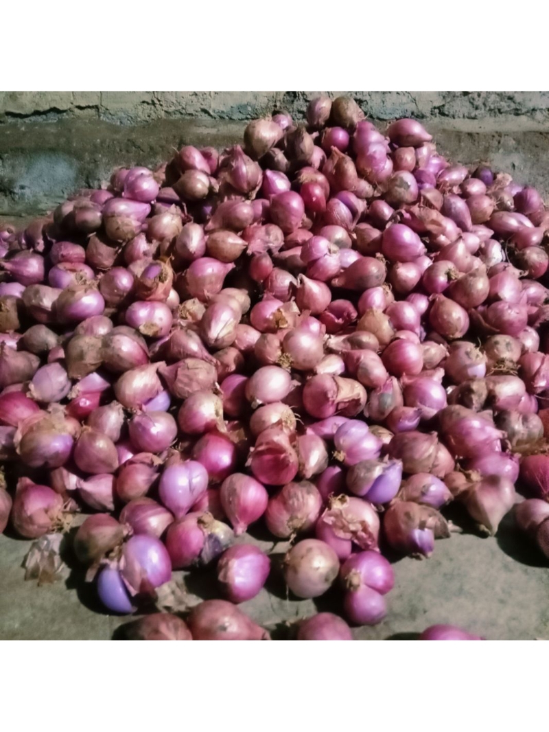 Jual BAWANG MERAH SEDANG 1KG | BAWANG MERAH ASLI BREBES | BAWANG MERAH ...