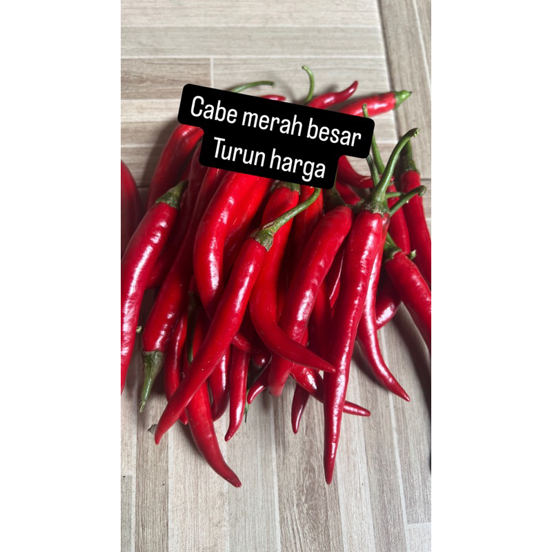 Jual cabe merah besar 1kg / 1000gr (wajib baca deskripsi yaa) | Shopee ...