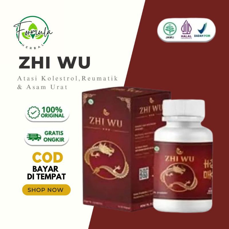 Jual ZHI WU CHINA ORIGINAL, OBAT HERBAL REMATIK,ASAM URAT DAN NYERI ...