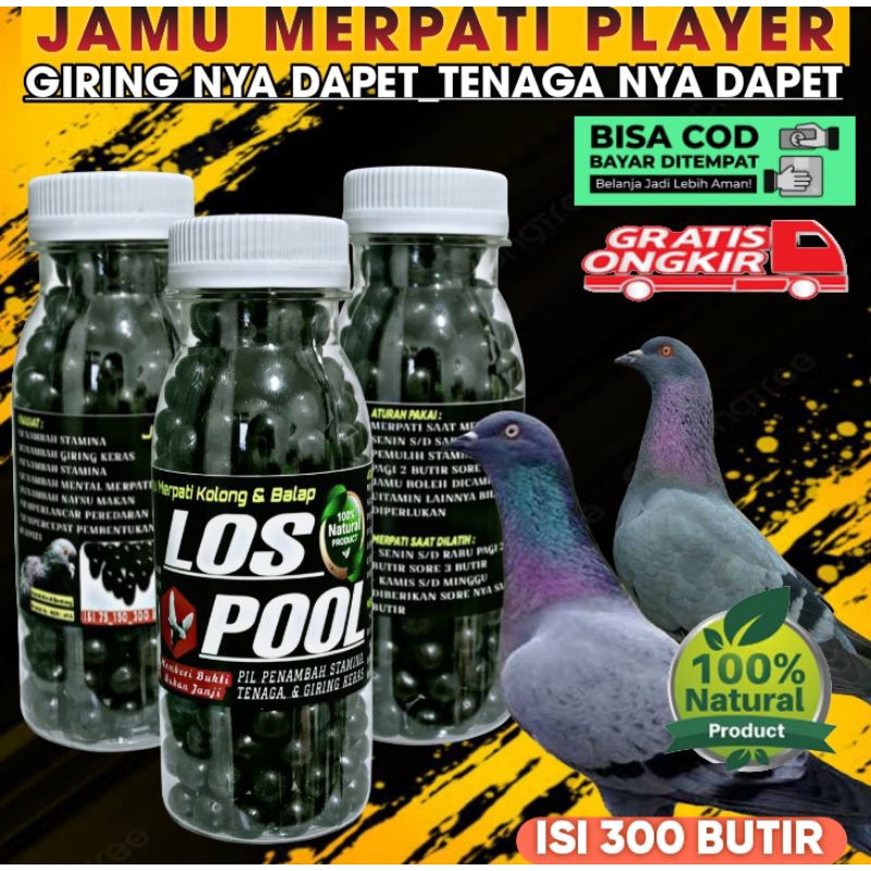 Jual Jamu Merpati Kolong Giring Keras Los Door Pool 75 Butir Pil Extra ...