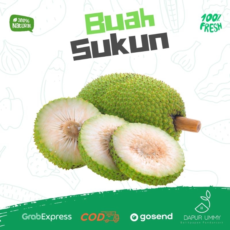 Jual Buah Sukun | Sukun Bulat | Sukun Mentega | Shopee Indonesia
