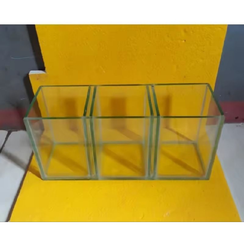 Jual Soliter ikan cupang dan gepi sekat 3 mini/3 ruang | Shopee Indonesia