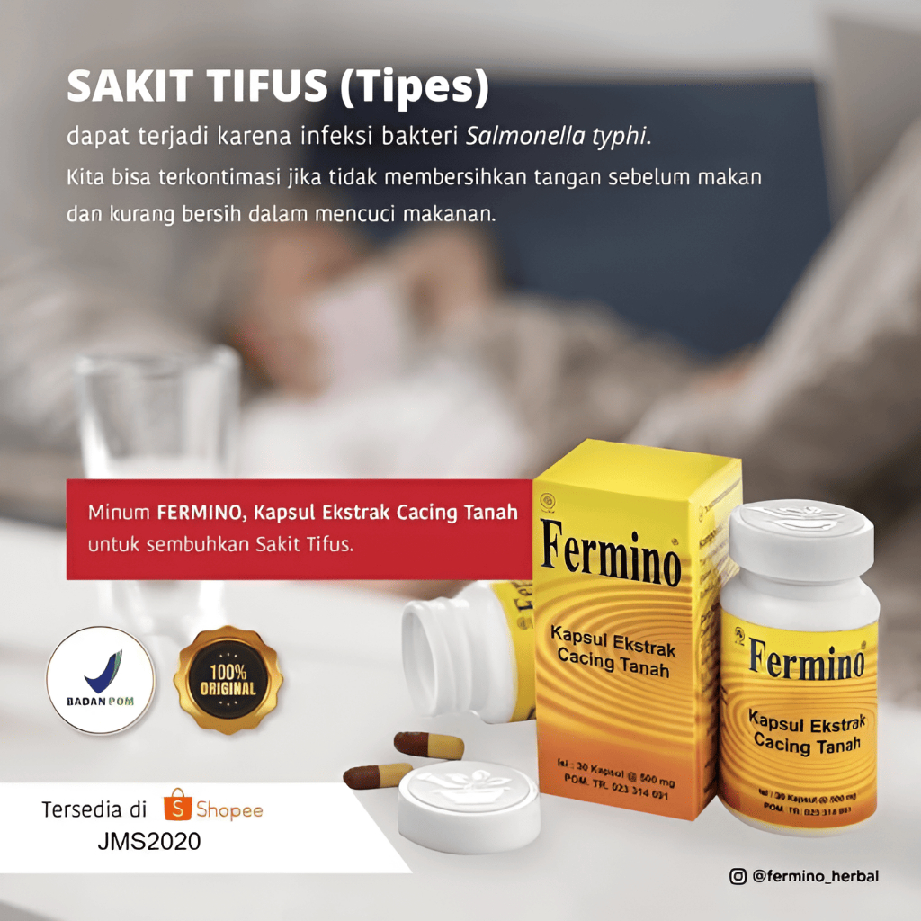 Jual Fermino Kapsul Ekstrak Cacing Tanah isi 12 Kapsul|obat penyakit ...