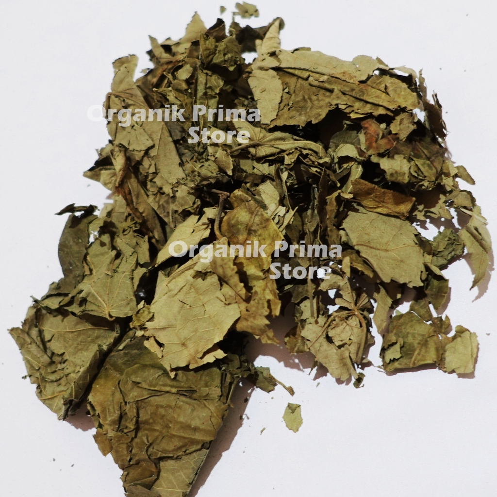 Jual Daun Jati Belanda 1kg Kering Bersih dan Organik | Shopee Indonesia