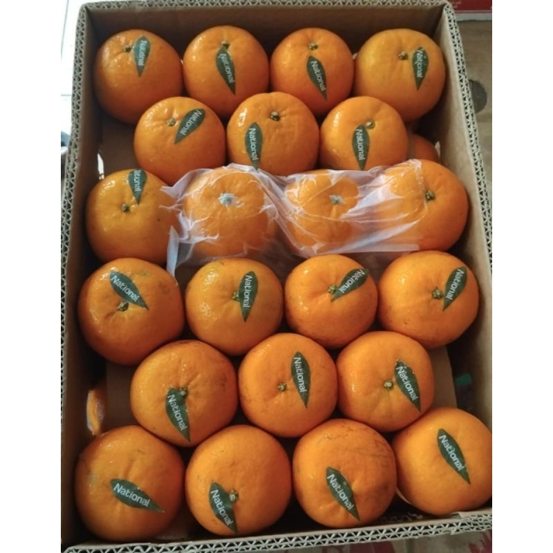 Jual Indukbuah Jeruk Mandarin Kino Pakistan 1 Dus ±10 kg | Shopee Indonesia