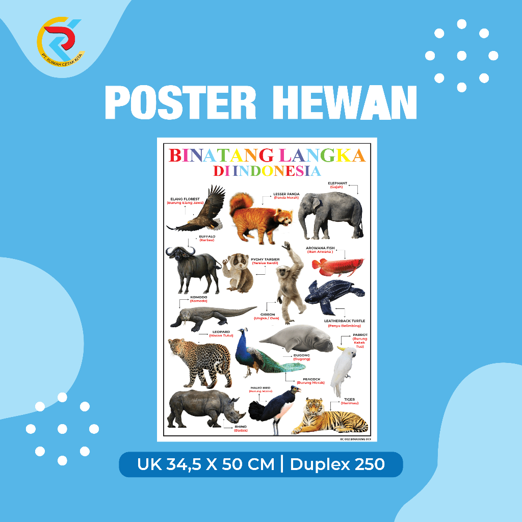 Jual Poster Edukasi Anak Aneka Hewan 19 | Hiasan Dinding Ruangan Kelas ...