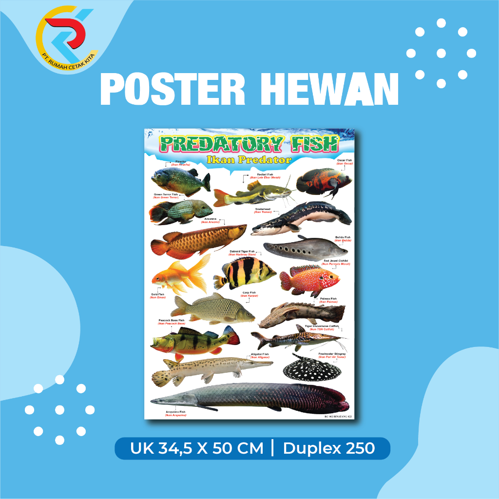 Jual Poster Edukasi Anak Aneka Hewan 25 | Hiasan Dinding Ruangan Kelas ...