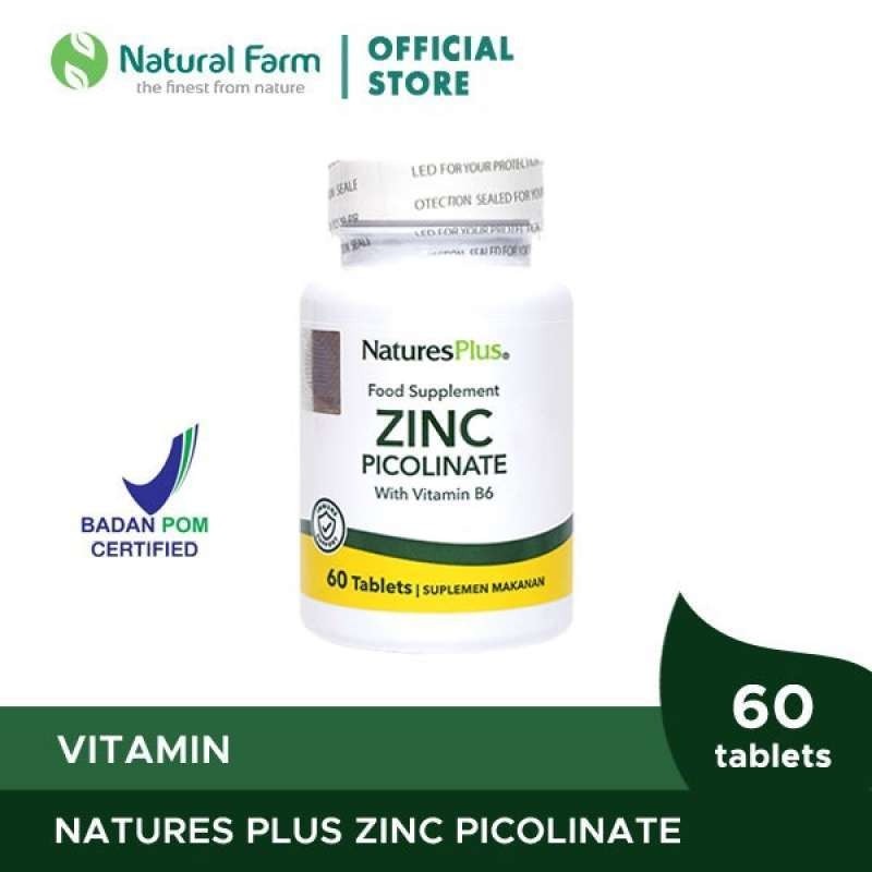 Jual Natures Plus Zinc Picolinate W/B6 - 60 Tablets | Shopee Indonesia