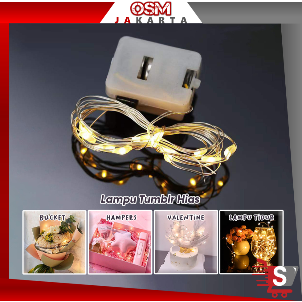 Jual OSM JKT L5420 Lampu Tumblr Kawat Mini 1M 2M 3M 5M Lampu Led ...