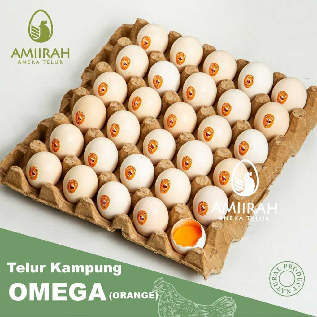 Jual TELUR AYAM KAMPUNG OMEGA ASLI 30 BUTIR / TELUR KAMPUNG OMEGA 30 ...