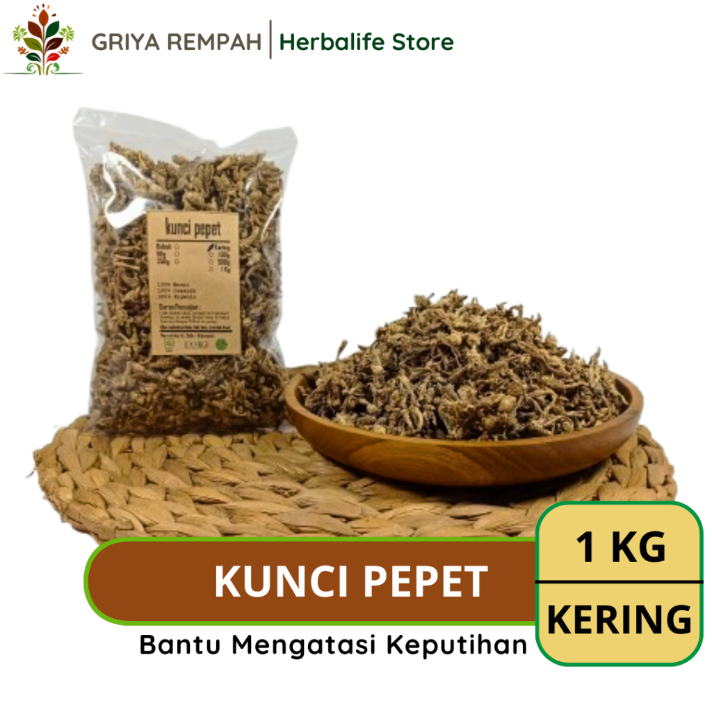 Jual KUNCI PEPET KERING 1 KG Temu Rapet Rempah Herbal Simplisia Alami ...
