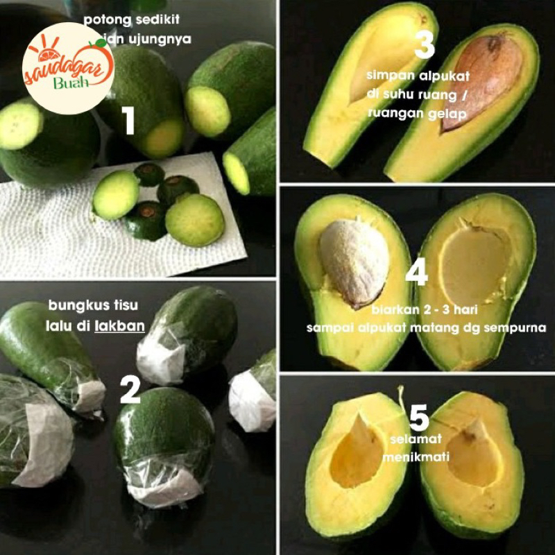 Jual BUAH ALPUKAT MENTEGA JAWA TENGAH SUPER 1KG | Shopee Indonesia