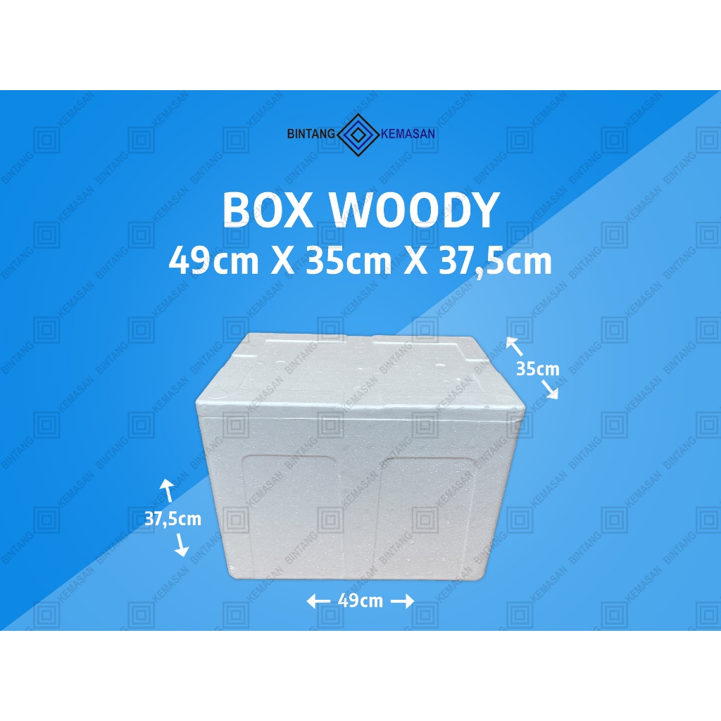 Jual Box Styrofoam GF 40 LITER 49 x 35 x 37,5cm Box Foam / Styrofoam ...