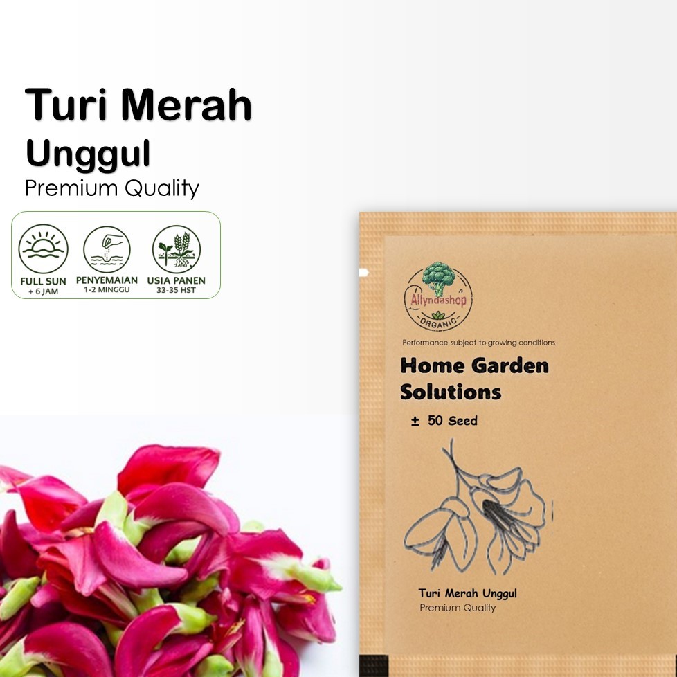 Jual 50 Biji - Bibit Benih Sayur Turi Merah Unggul | Shopee Indonesia
