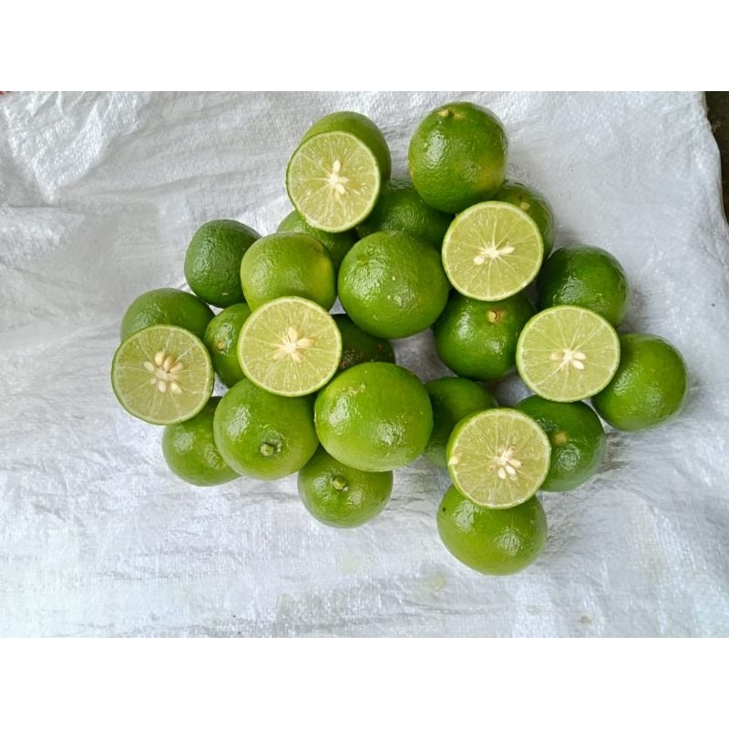 Jual Jeruk Nipis Segarr 1 kg | Shopee Indonesia