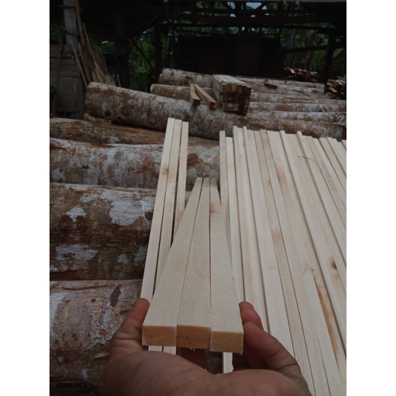 Jual Stik kayu Reng tebal 1x2,5cm paket 10 batang panjang 100cm Kayu ...