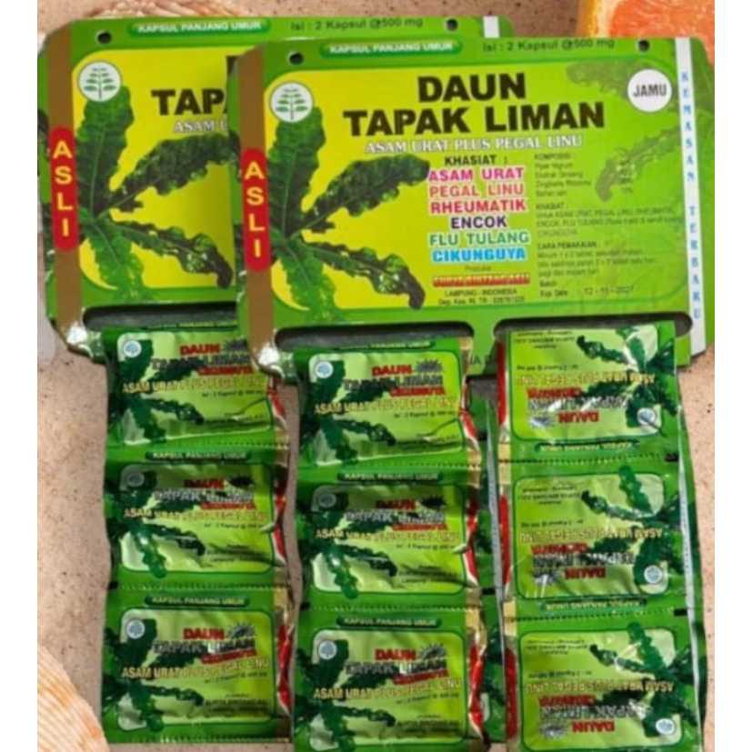 Jual Kapsul Daun Tapak Liman Asli kapsul Asam Urat dan Rheumatik ...