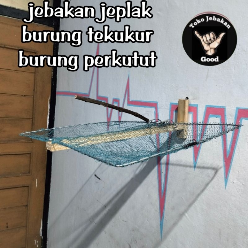 Jual perangkap jeplak burung tekukur perkutut kutilang sogon | Shopee ...