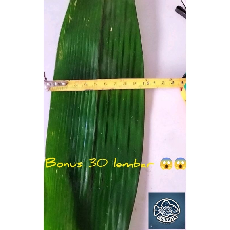 Jual daun bambu jumbo /bungkus bacang ukuran 8 9 10 cm 100 lembar ...