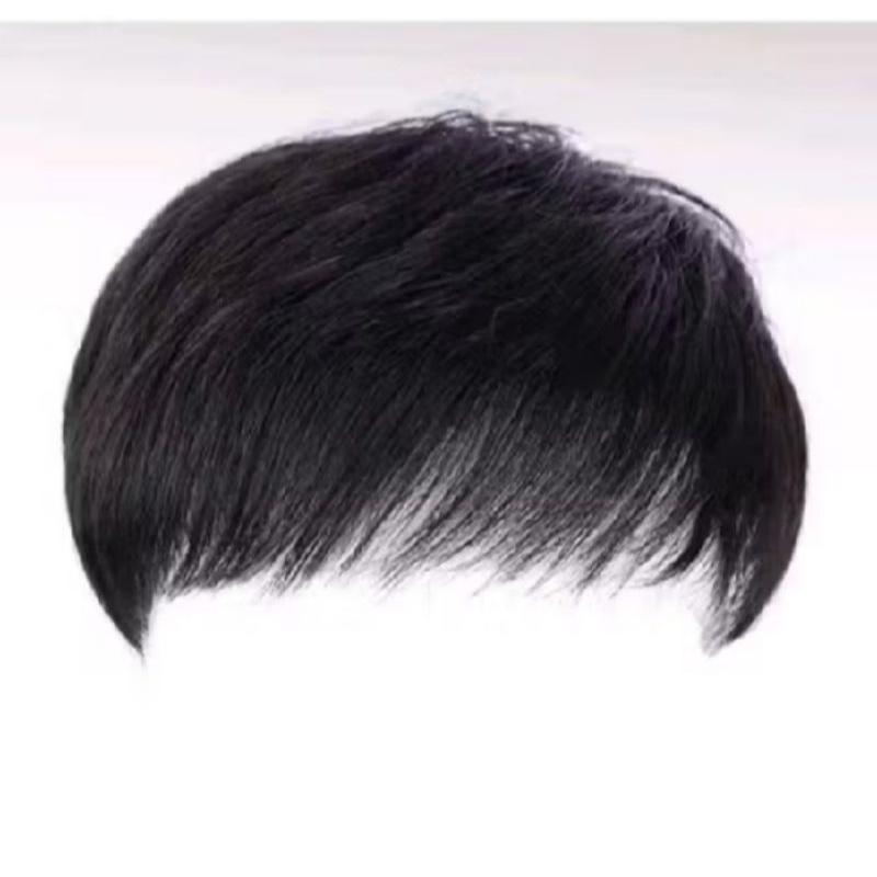 Jual wig toupe/wig penutup botak/wig pria | Shopee Indonesia