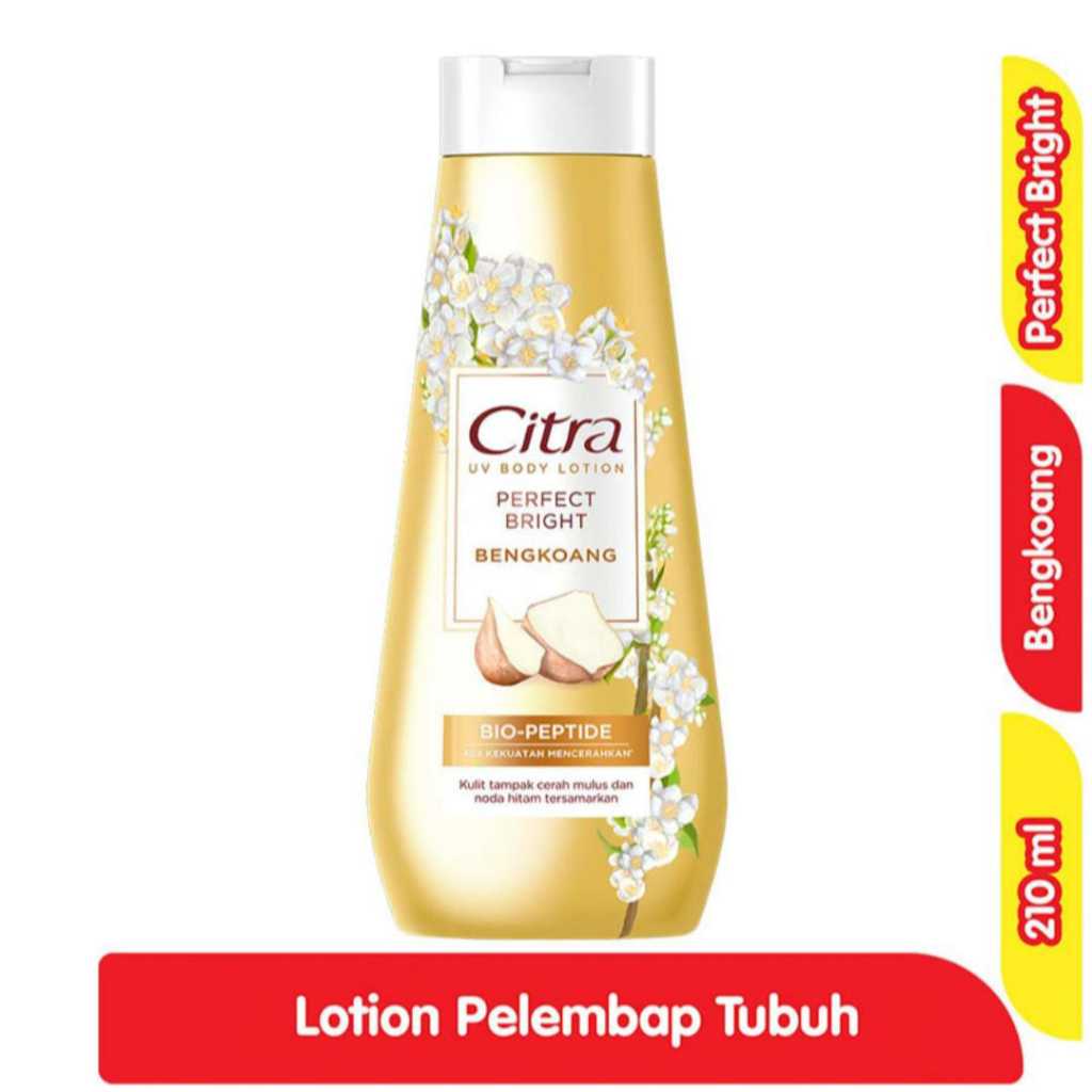 Jual UV Body Lotion Citra 210ml Varian Perfect Bright Bengkoang ...