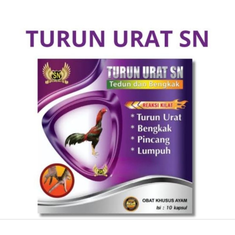 Jual Turun urat sn obat ayam unggas lumpuh pincang tedun | Shopee Indonesia