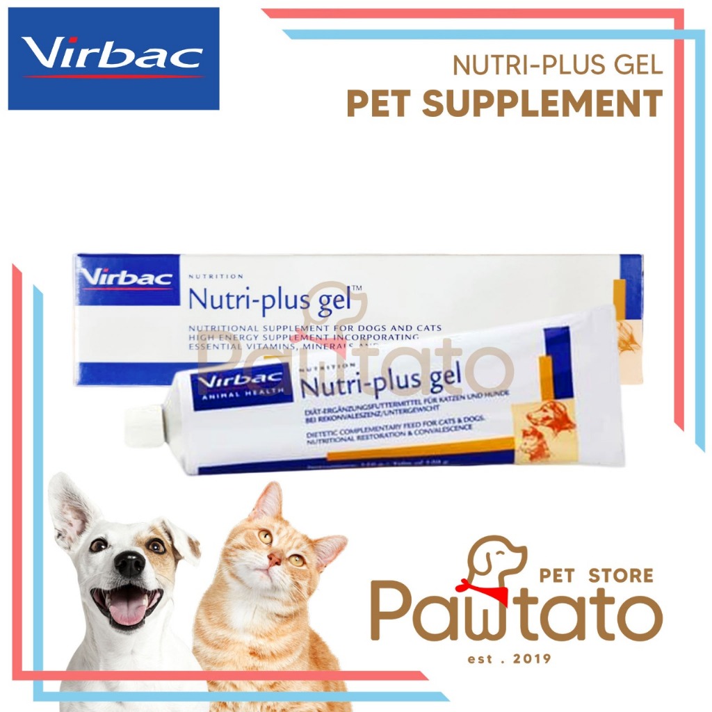 Jual Vitamin Anjing Nutriplus Gel Virbac Nutri Plus Dog Cat Kucing ...