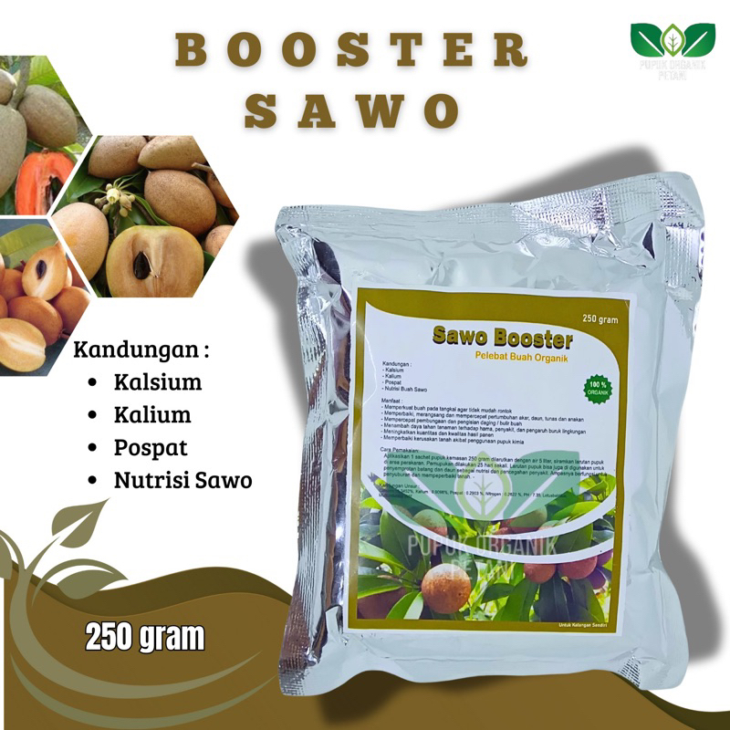 Jual Pupuk Organik Pelebat Buah Sawo Booster dan Pupuk Perangsang Pohon Sawo Agar Cepat Berbuah ...