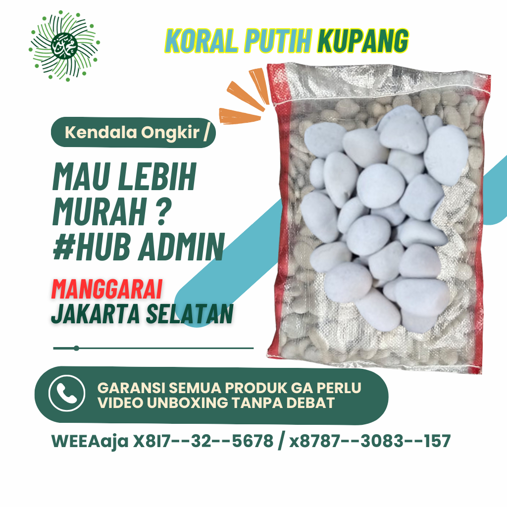 Jual Batu Koral Kupang Putih Hias Taman Tanaman Ukuran Kecil Sedang Besar 10 Kg | Shopee Indonesia