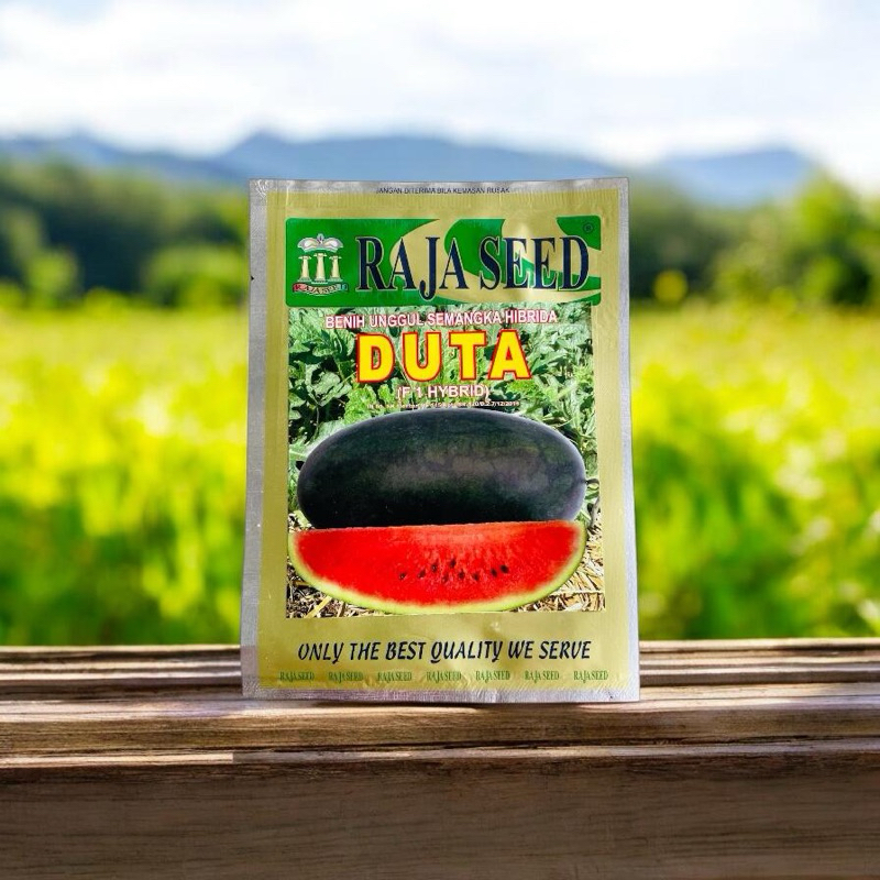 Jual BENIH UNGGUL SEMANGKA HIBRIDA, DUTA F1 HYBRID, BIBIT SEMANGKA ...