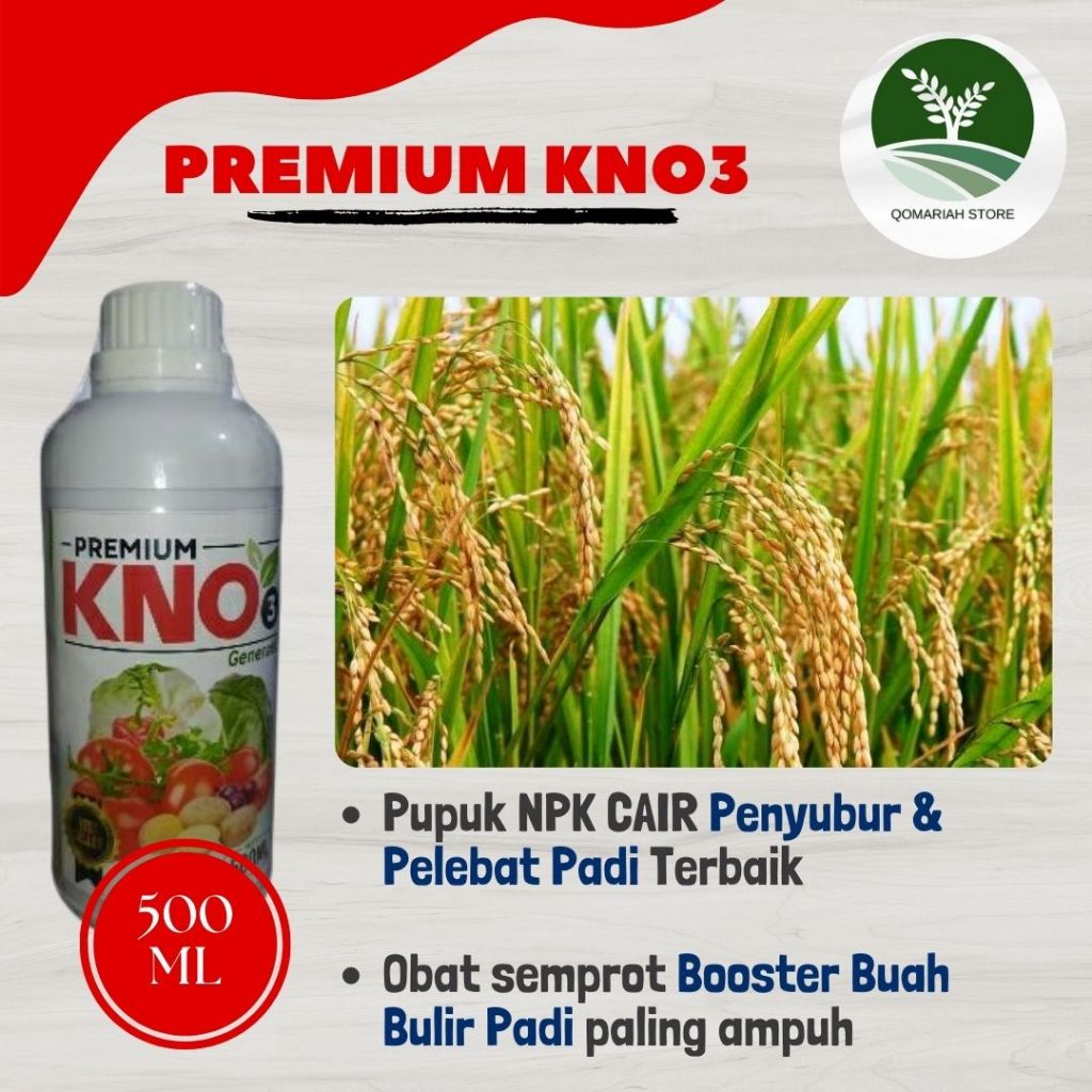 Jual Pupuk Ajaib PERBANYAK ANAKAN PADI - Premium KNO3 500 ML Panen Padi Lebih Banyak dan Besar ...