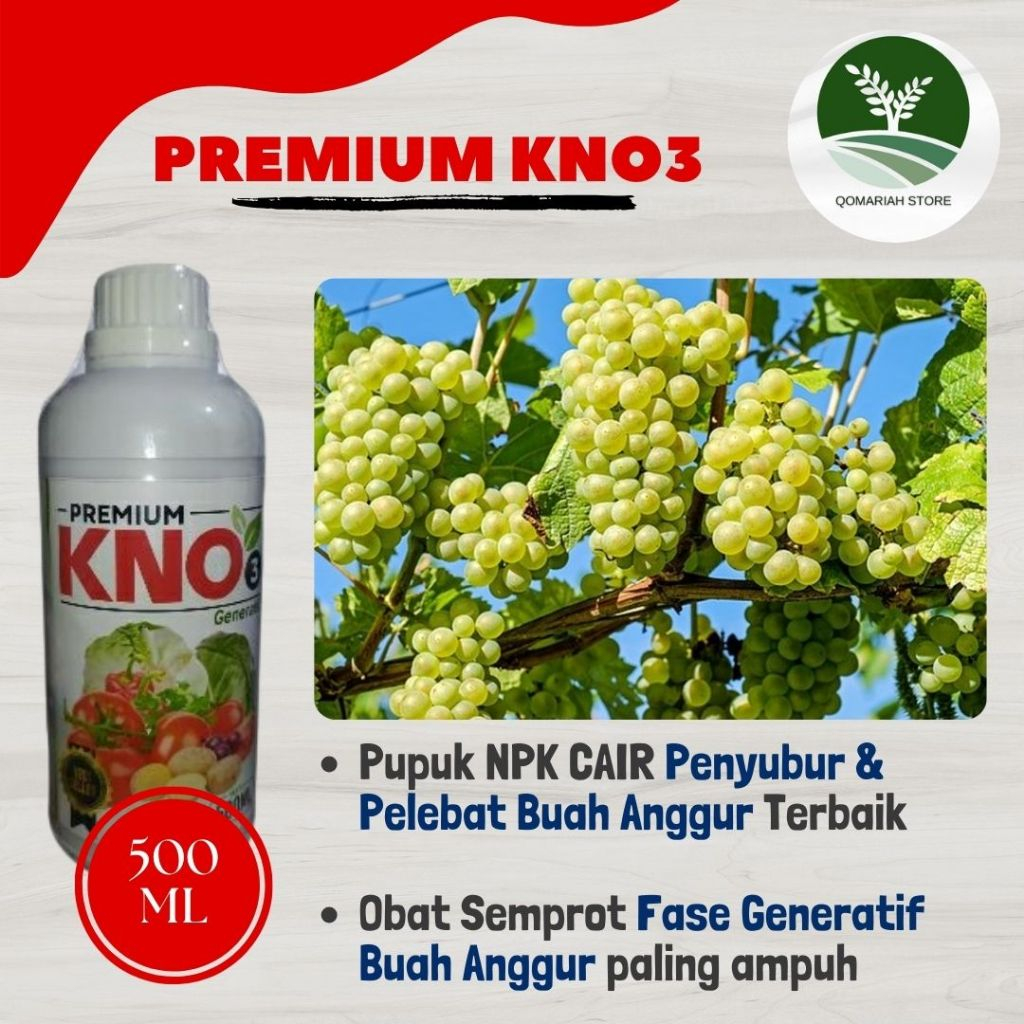 Jual pupuk anggur cepat bebuah KNO3 500 ML PUPUK PELEBAT BUAH ANGGUR ...