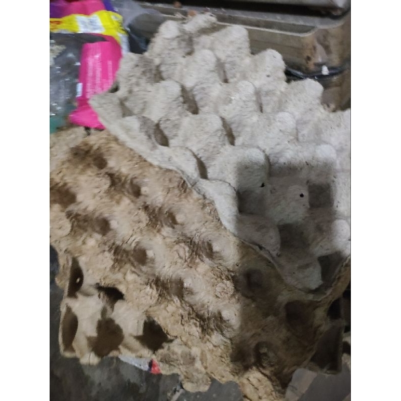 Jual egg tray karton bekas - tempat telur ayam kerajinan tangan media ...