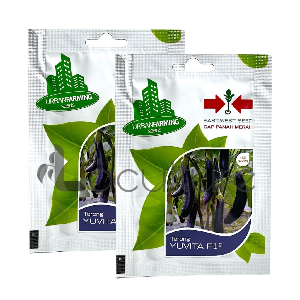 Jual Benih Terong Ungu YUVITA F1 Isi 150 Butir Cap Panah Merah | Shopee Indonesia