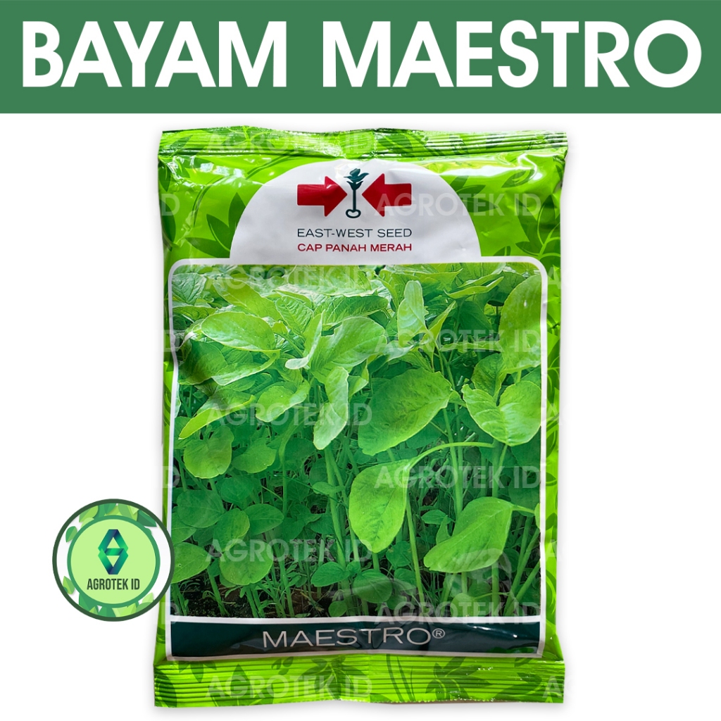 Jual Benih Bayam Hijau MAESTRO 500 gram Cap Panah Merah | Shopee Indonesia