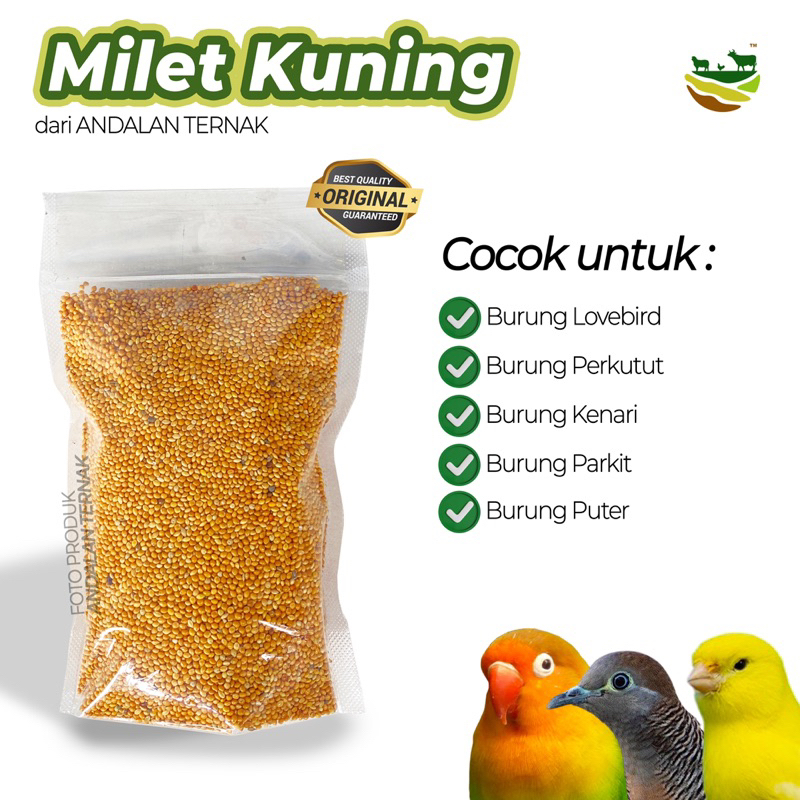Jual Makanan burung kenari, parkit, Lovebird milet kuning 100/200gr ...