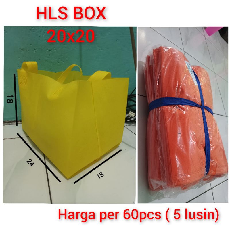 Jual Tas HLS box 20x20 model full press isi 5 lusin ( 60 pcs) | Shopee ...