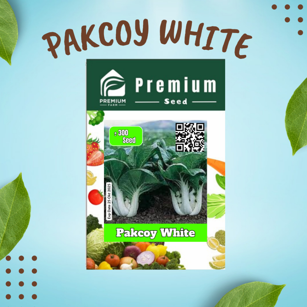 Jual Benih PAKCOY WHITE PREMIUM SEED | Shopee Indonesia
