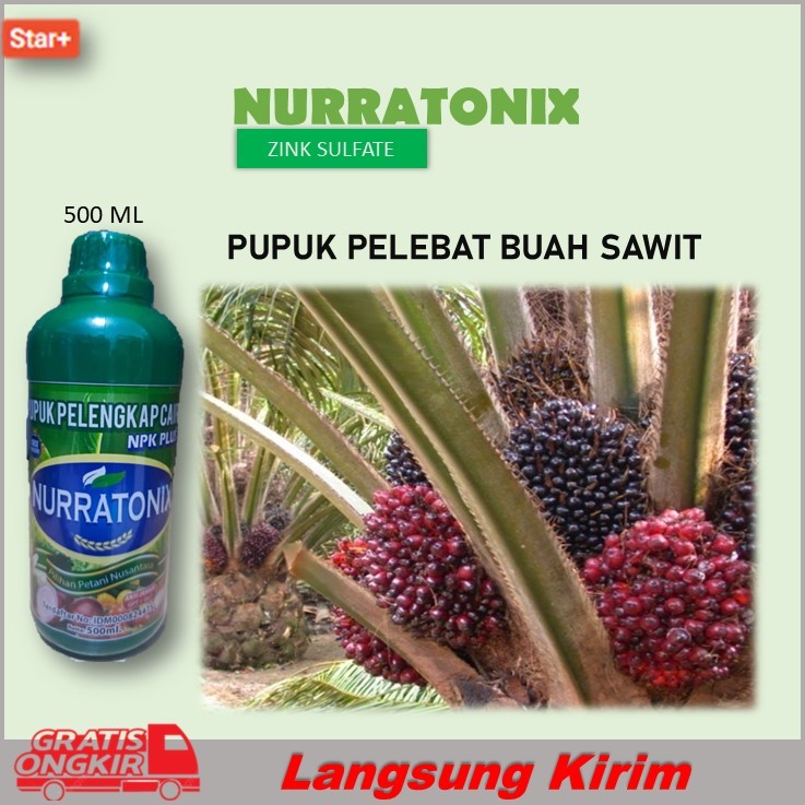 Jual Pupuk Pelebat Buah Kelapa Sawit PUPUK PELENGKAP CAIR NPK PLUS ANTI JAMUR ZPT + GA7 ...