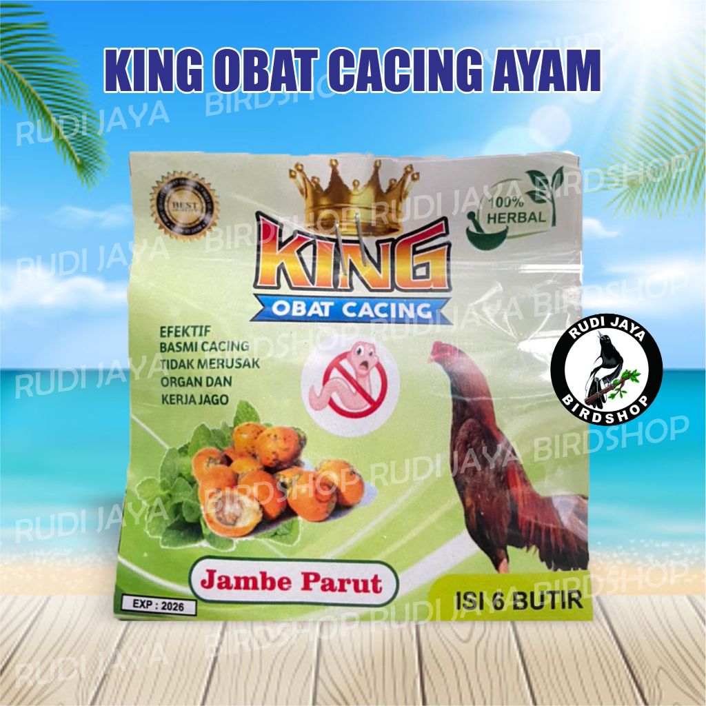 Jual KING OBAT CACING AYAM 1 SACHET JAMU AYAM BEBEK UNGGAS SAKIT ...