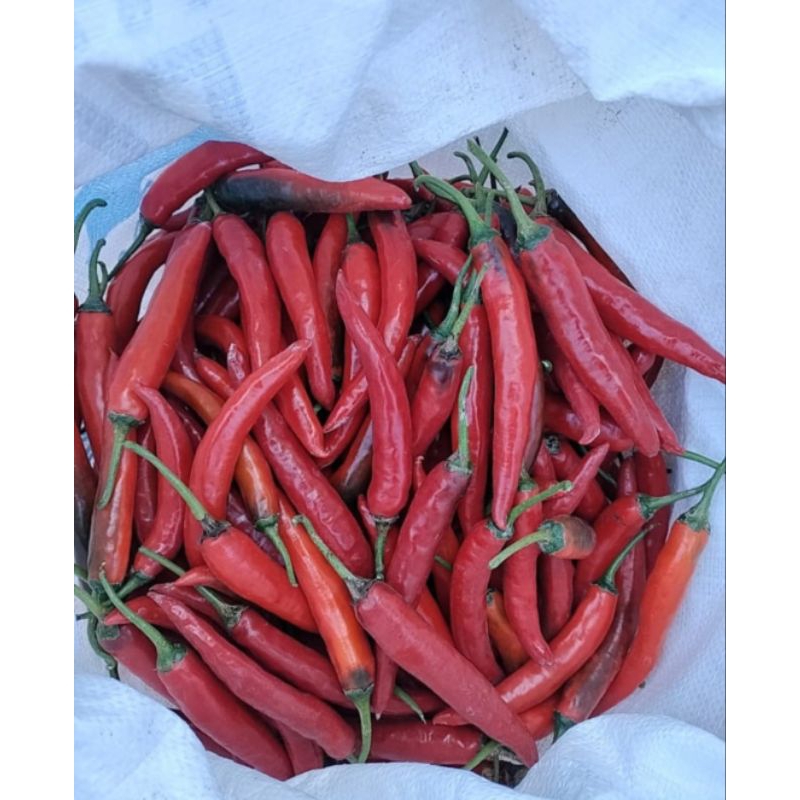 Jual cabe merah besar 1kg | Shopee Indonesia