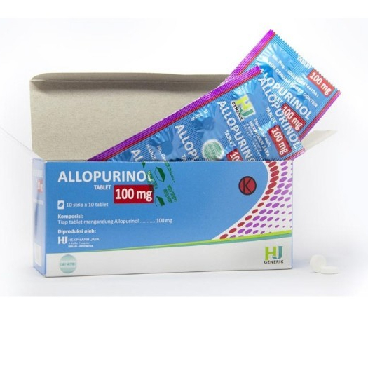 Jual ALLOPURINOL 100MG 1 STRIP 10 TABLET | Shopee Indonesia