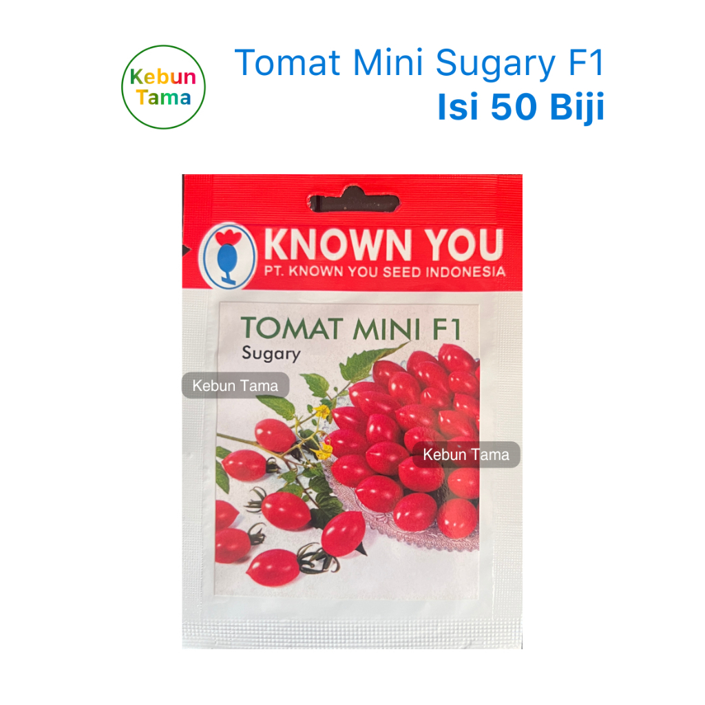 Jual Benih Tomat Mini Sugary F1 Tomat Cherry Known You Seed KYS Isi 50 ...