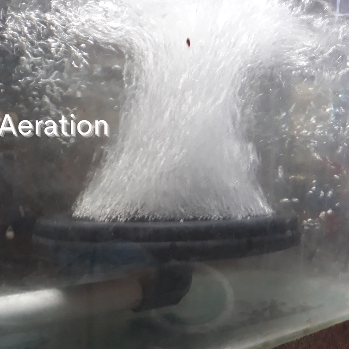 Jual Fine bubble diffuser ukuran 10 inch aerasi kolam bioflok stp wtp ...