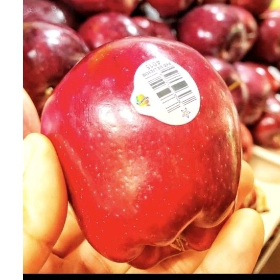 Jual buah apel red usa premium quality /kg | Shopee Indonesia