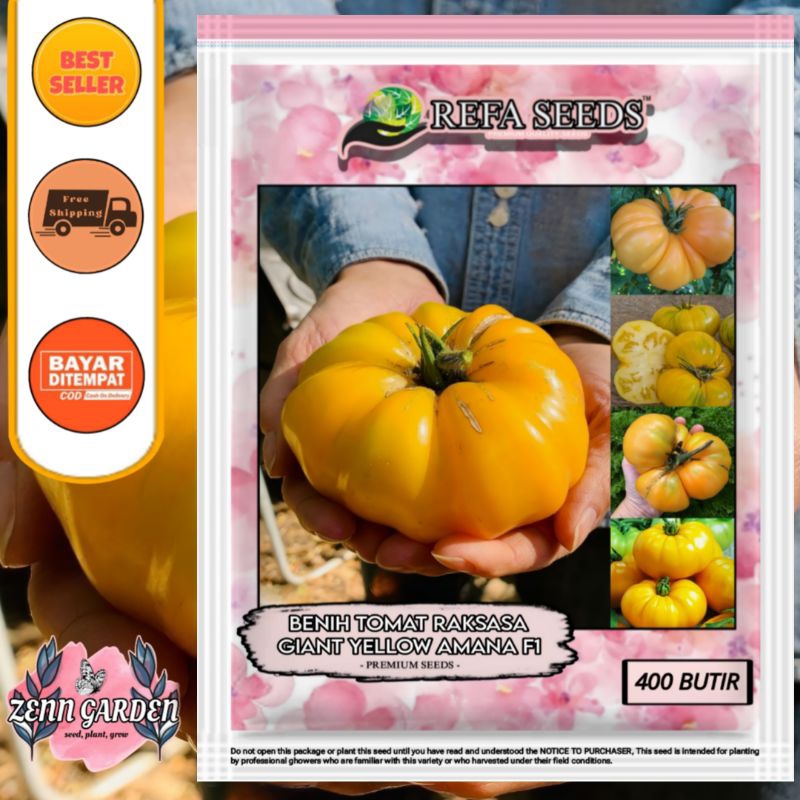 Jual Isi (400 Butir) Benih Tomat Super Jumbo Giant Tomato Yellow Amana ...